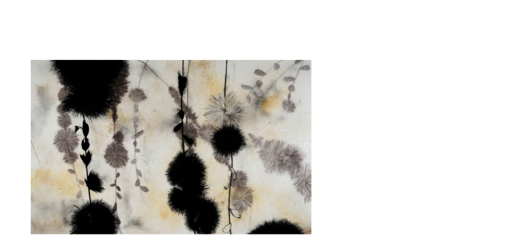 Drawings – Suzi Davidoff